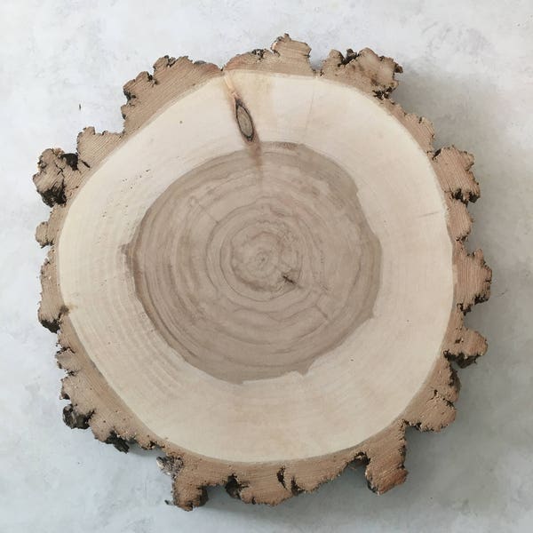 12 Inch Wood Slices - Etsy