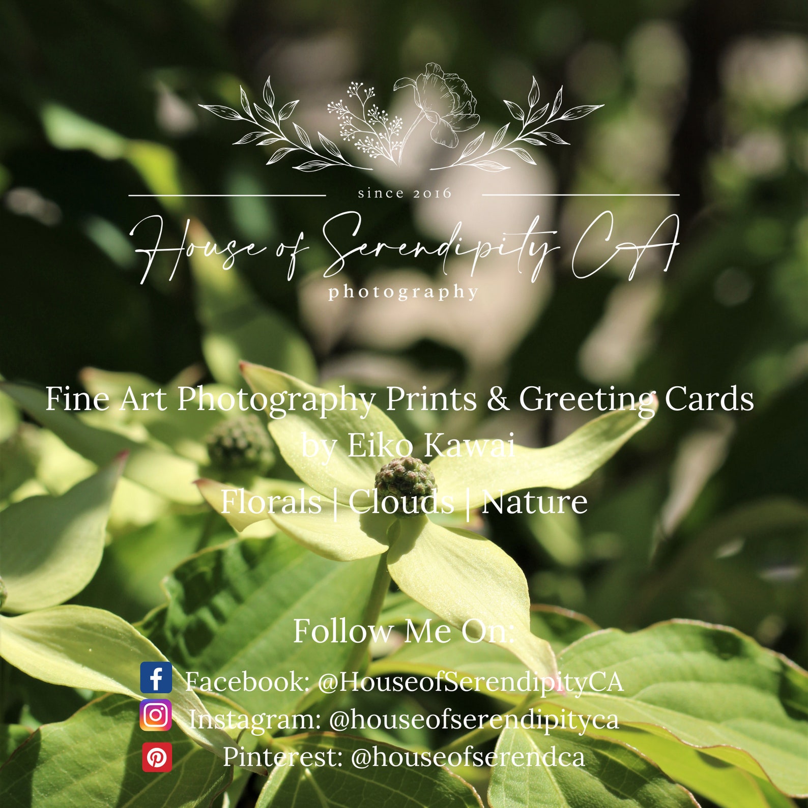 Peony Flower Photo Birthday Card 4637 Peony Birthday - Etsy