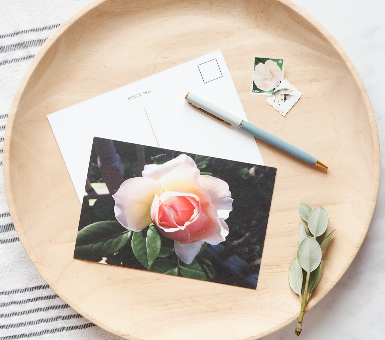 Rose Postcard 3-716, Pink Rose Postcard, Peach Rose Postcard, Flower Postcard, Floral Postcard ...
