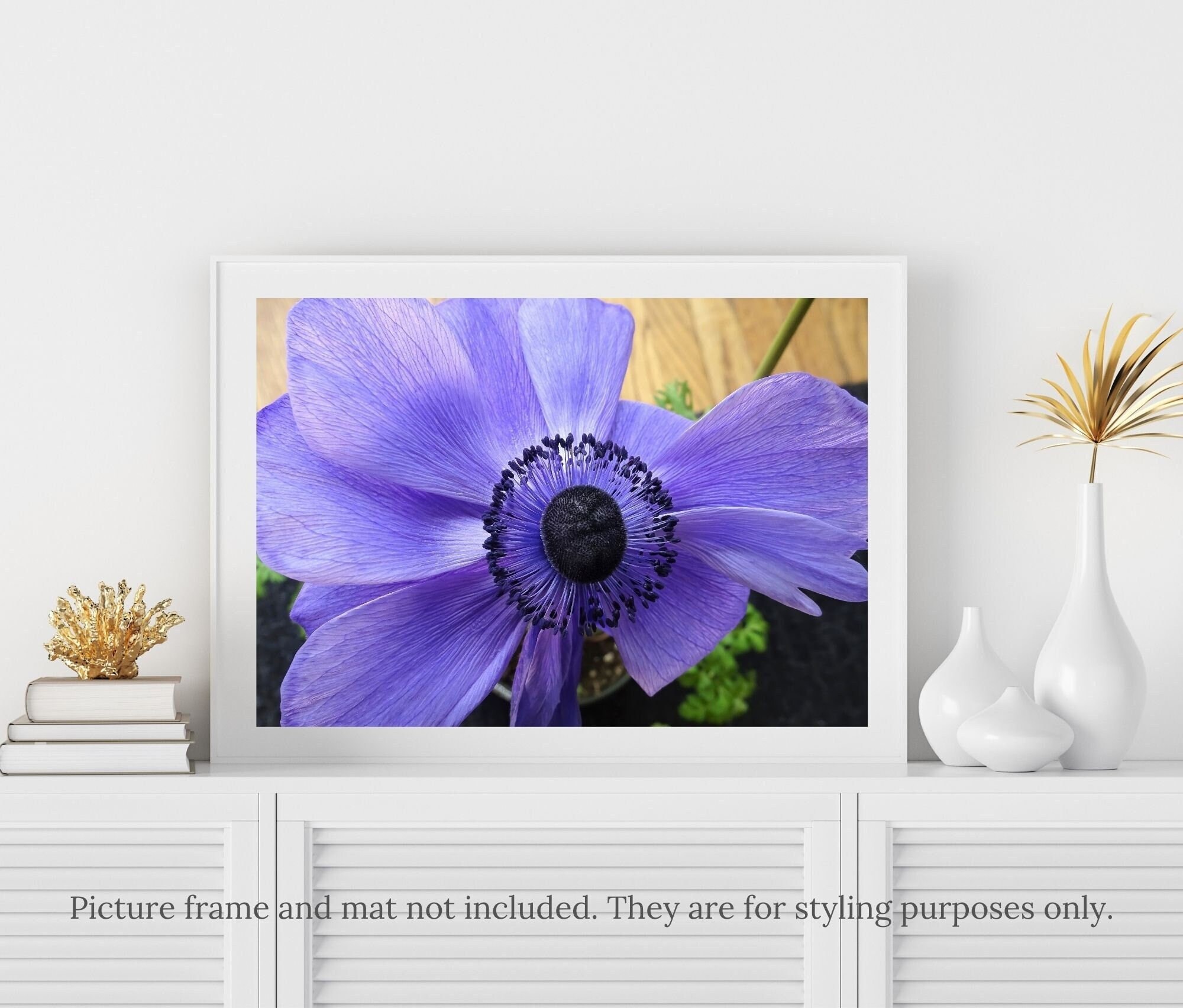 Anemone Photography 1295 Flower Photography Blue Poppy - Etsy Canada