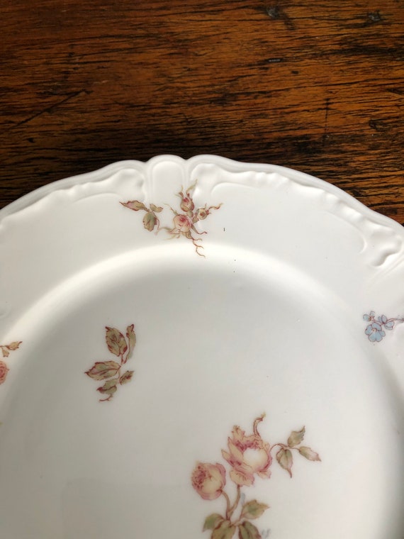 Antique Haviland Limoges China