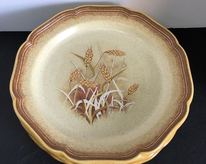 Mikasa Whole Wheat DINNER PLATES Set of 6 Whole Wheat Mikasa Stoneware ...