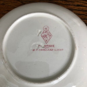 Spode, Primrose Pattern, Circa 1882, WT Copeland & Sons, Museum Quality ...