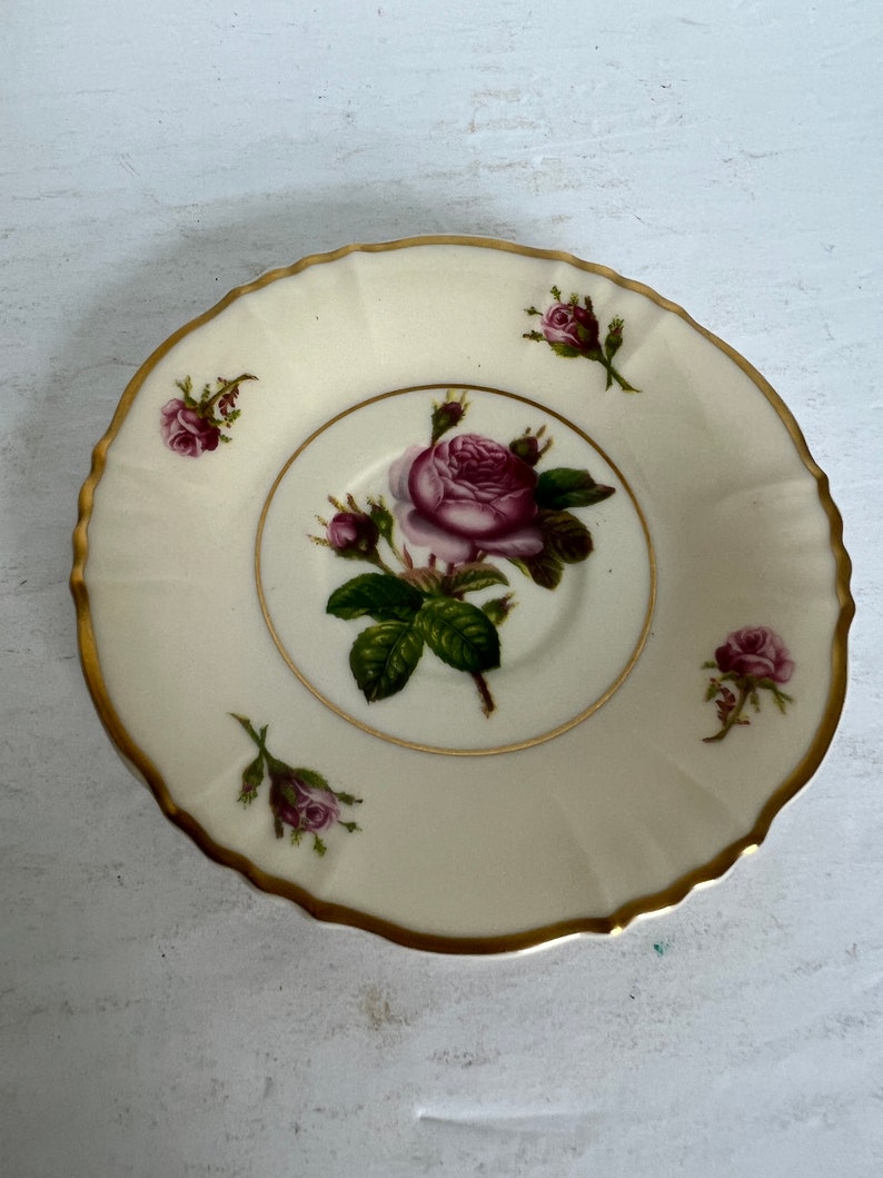 SYRACUSE, Pattern Victoria, Federal Shape, Demitasse, Painted Rosebud ...