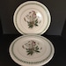 Spode, Primrose Pattern, Circa 1882, WT Copeland & Sons, Museum Quality ...