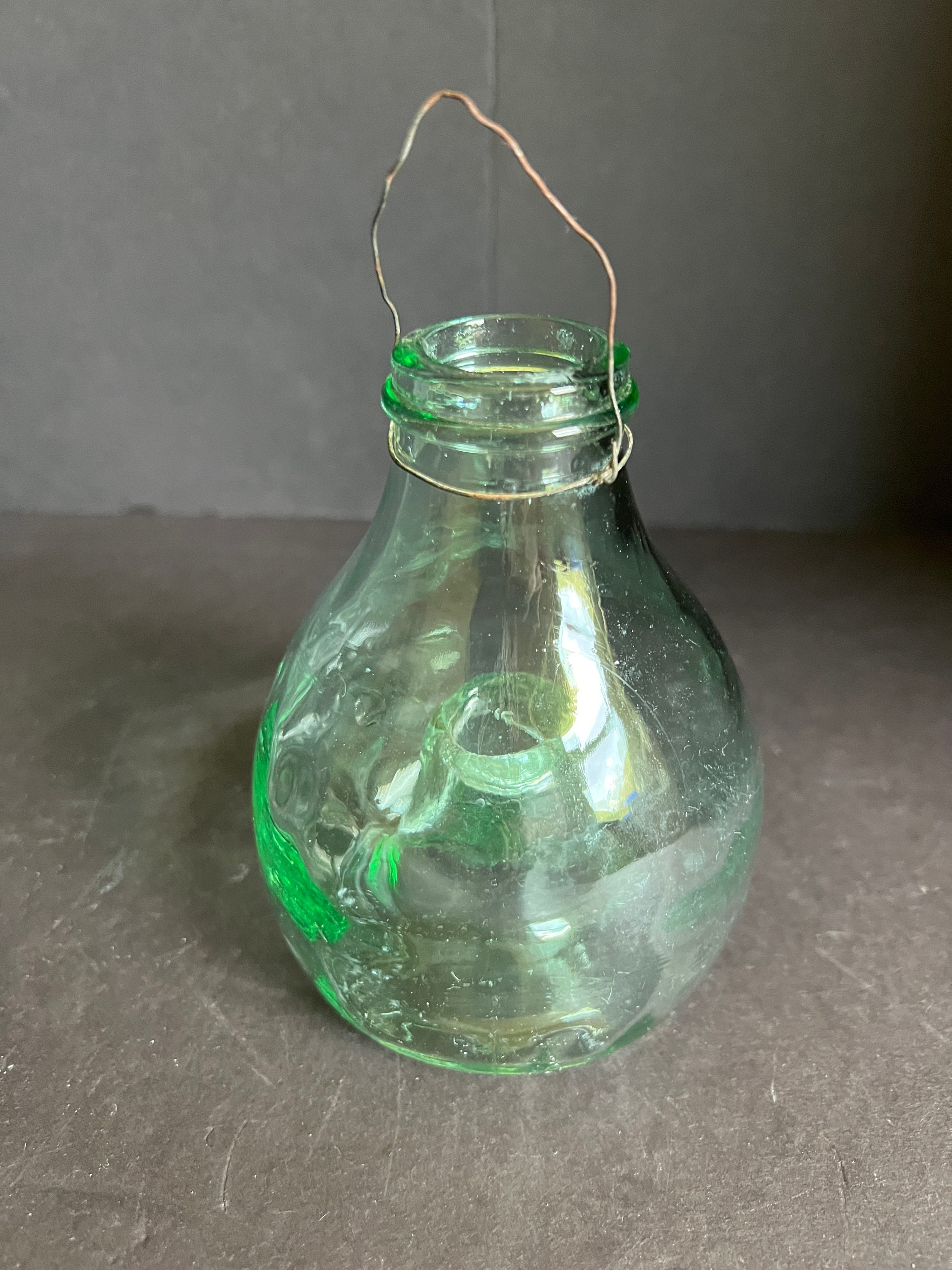 Glass Bug Traps Antique Made in England Hand Blown Bottle - Etsy