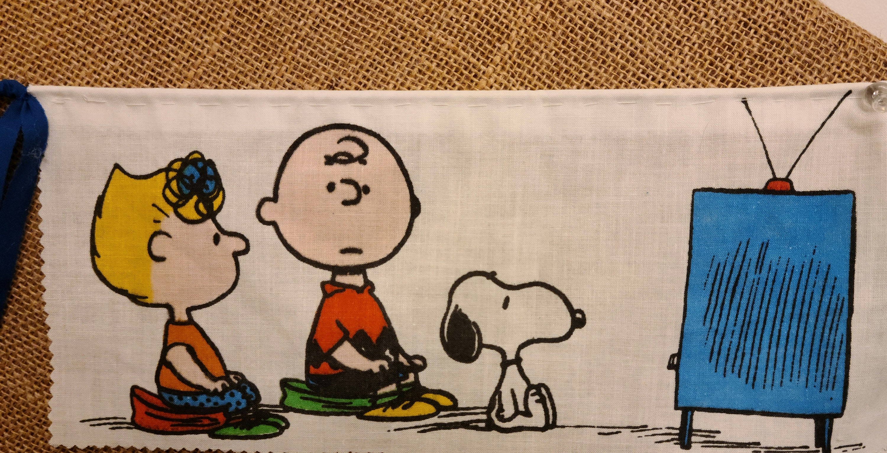 Snoopy and Gang Playtime Banner, 5 Ft., Charlie Brown, Snoopy ...