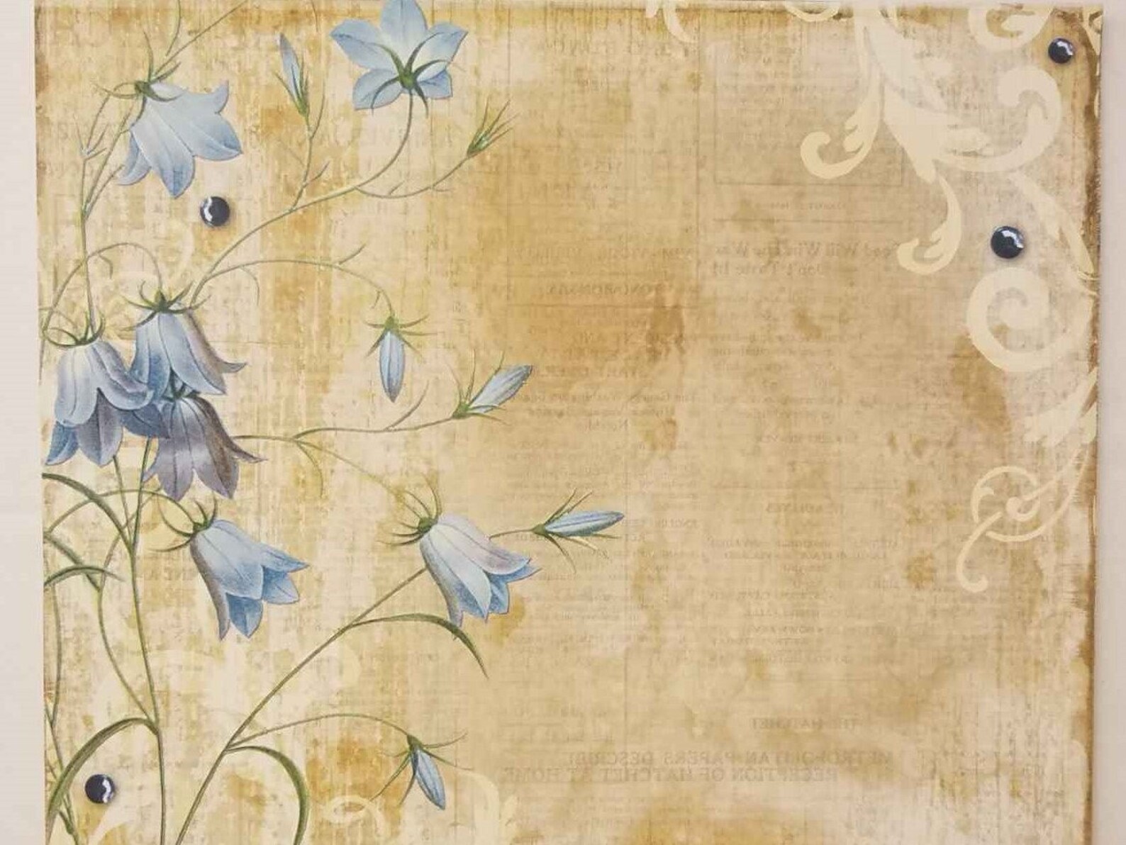 Vintage Child Butterfly Scrapbook Paper 12x12 6 Sheets - Etsy