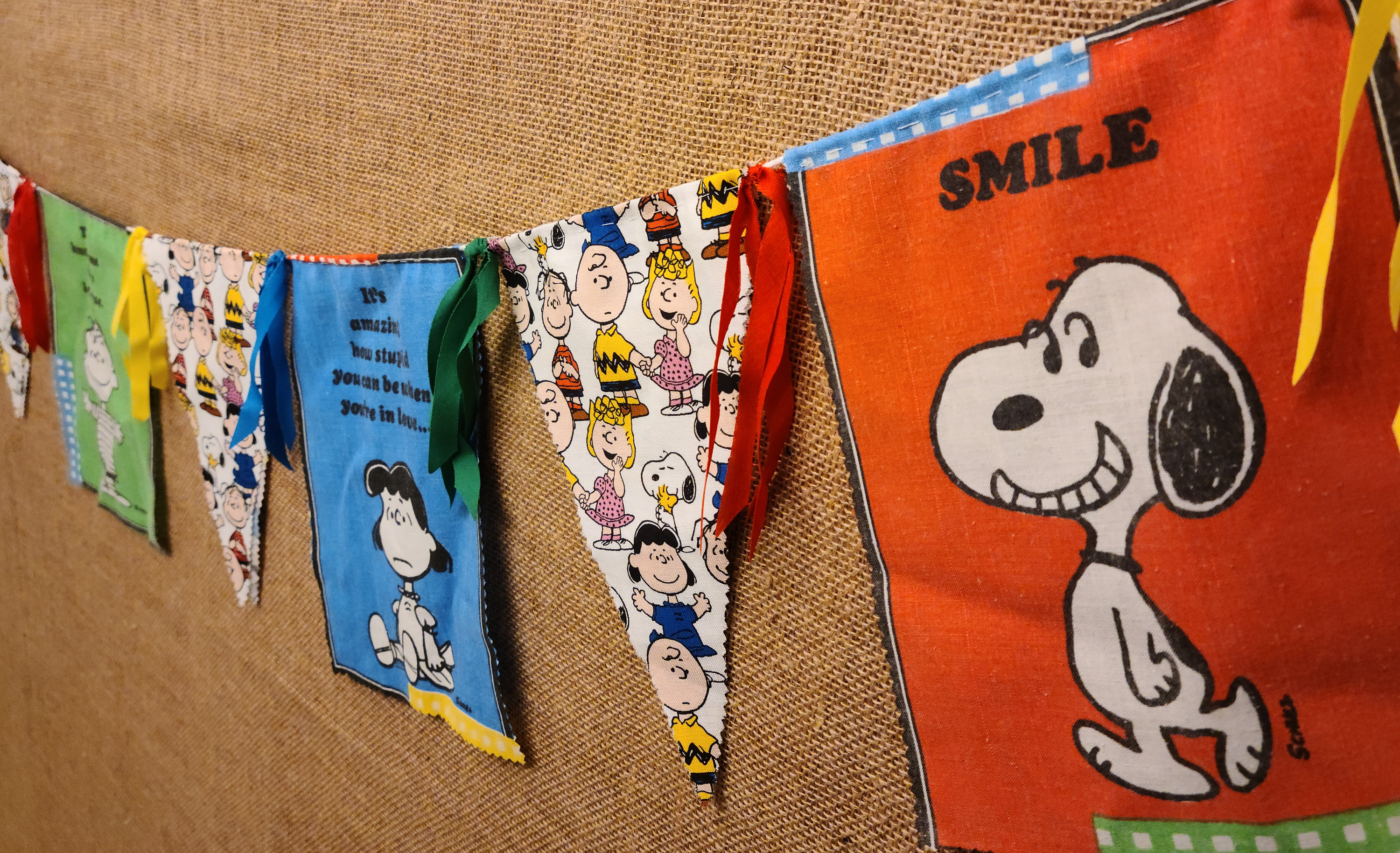 Peanuts Gang Color Block Banner, Snoopy, Charlie Brown, Linus, Lucy ...
