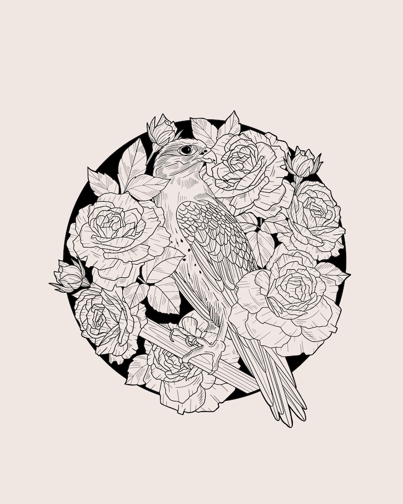Printable Falcon Digital Art Print - Etsy