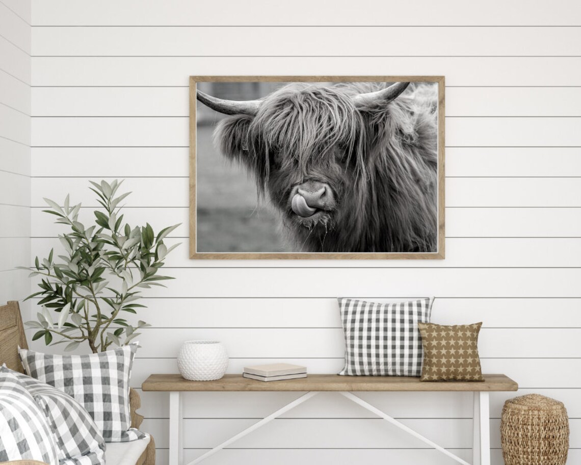 Highland Cow Wall Art Digital Wall Decor Downloadable - Etsy