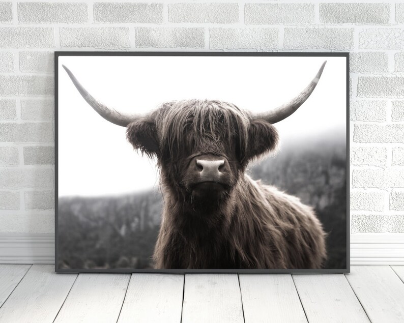 Highland Cow Wall Art Digital Wall Decor | Downloadable Print | Cow ...