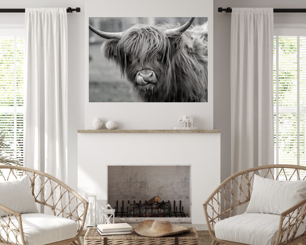 Highland Cow Wall Art Digital Wall Decor Downloadable - Etsy