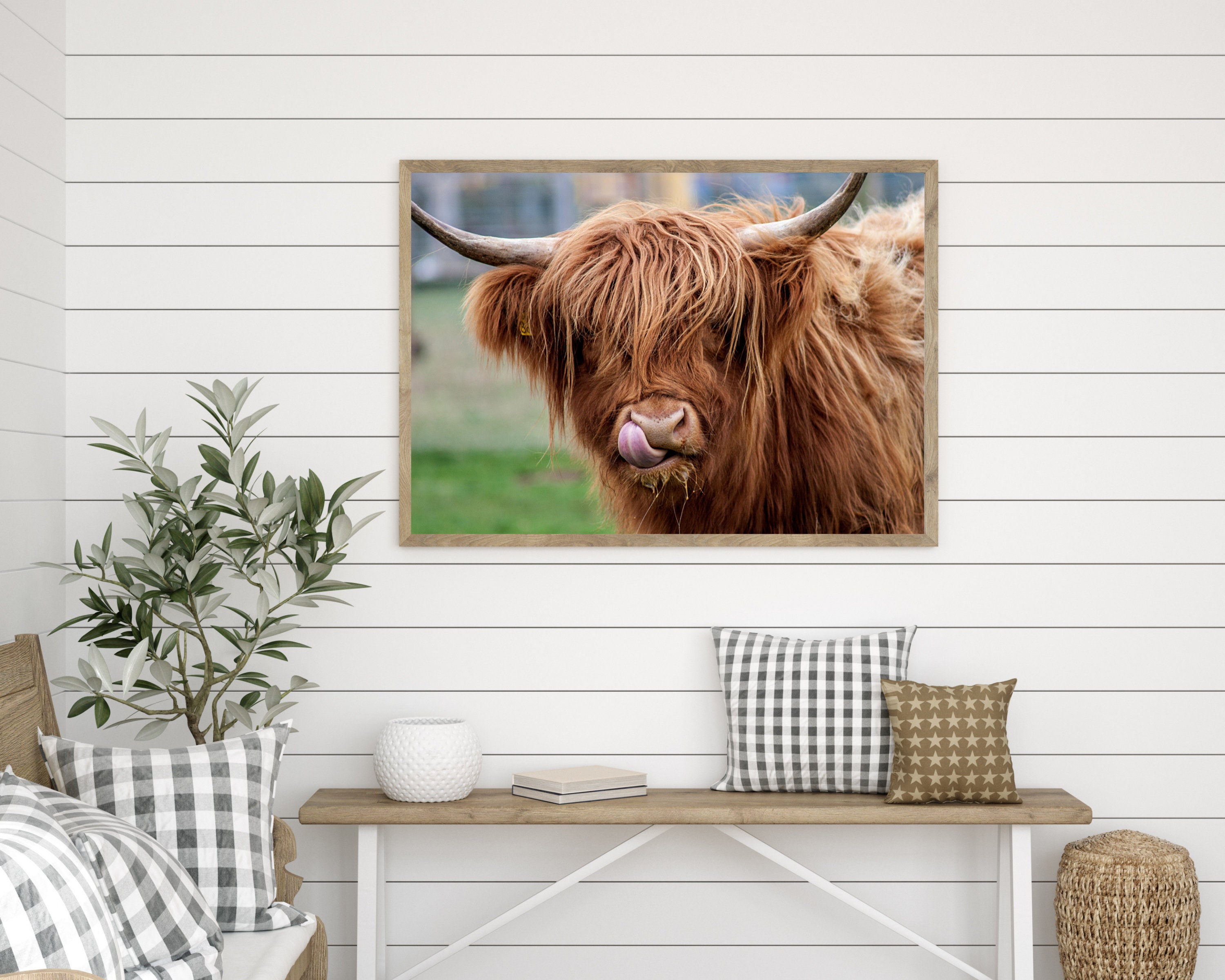 Highland Cow Wall Art Digital Download Wall Decor | Downloadable Print ...