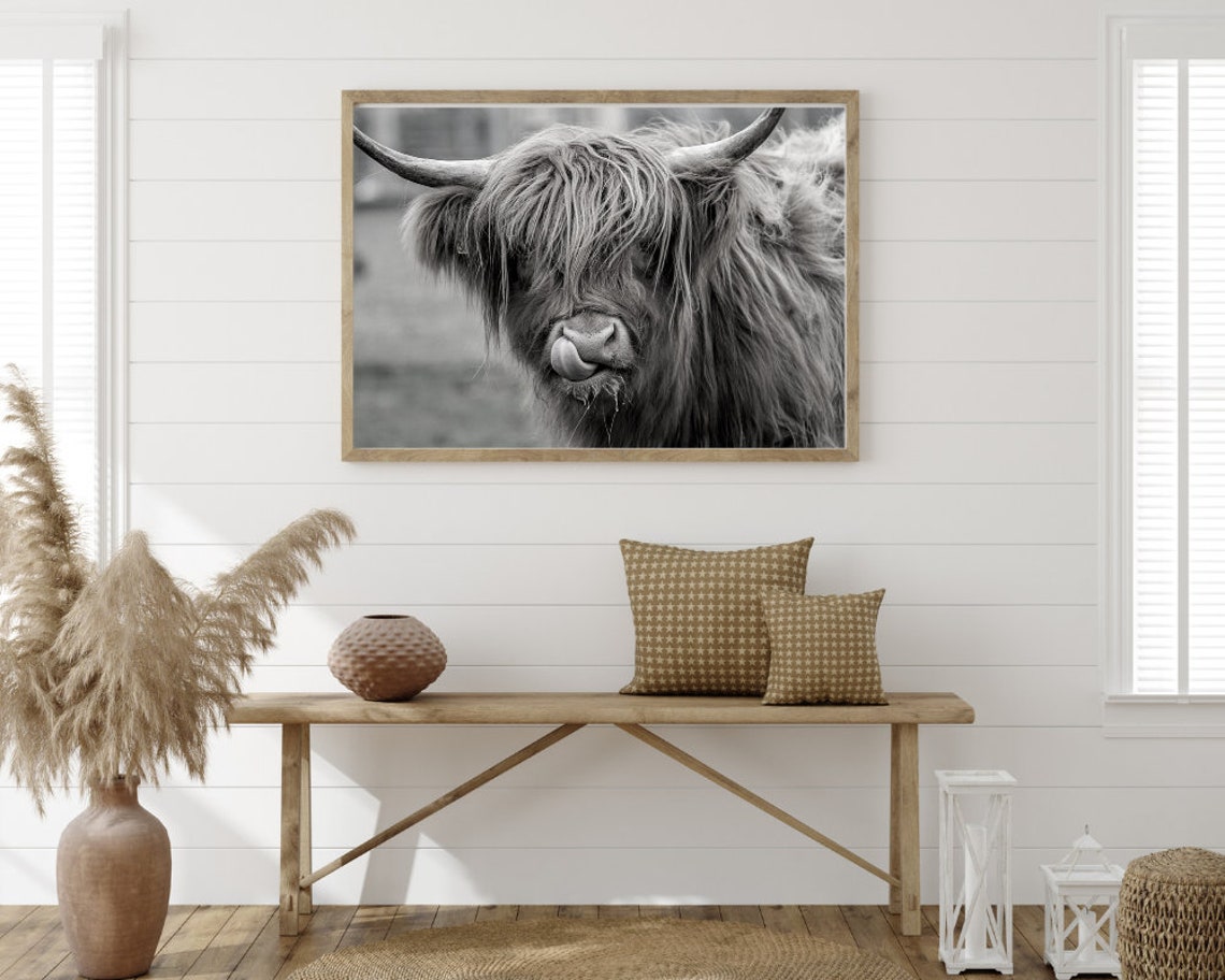 Highland Cow Wall Art Digital Wall Decor Downloadable - Etsy