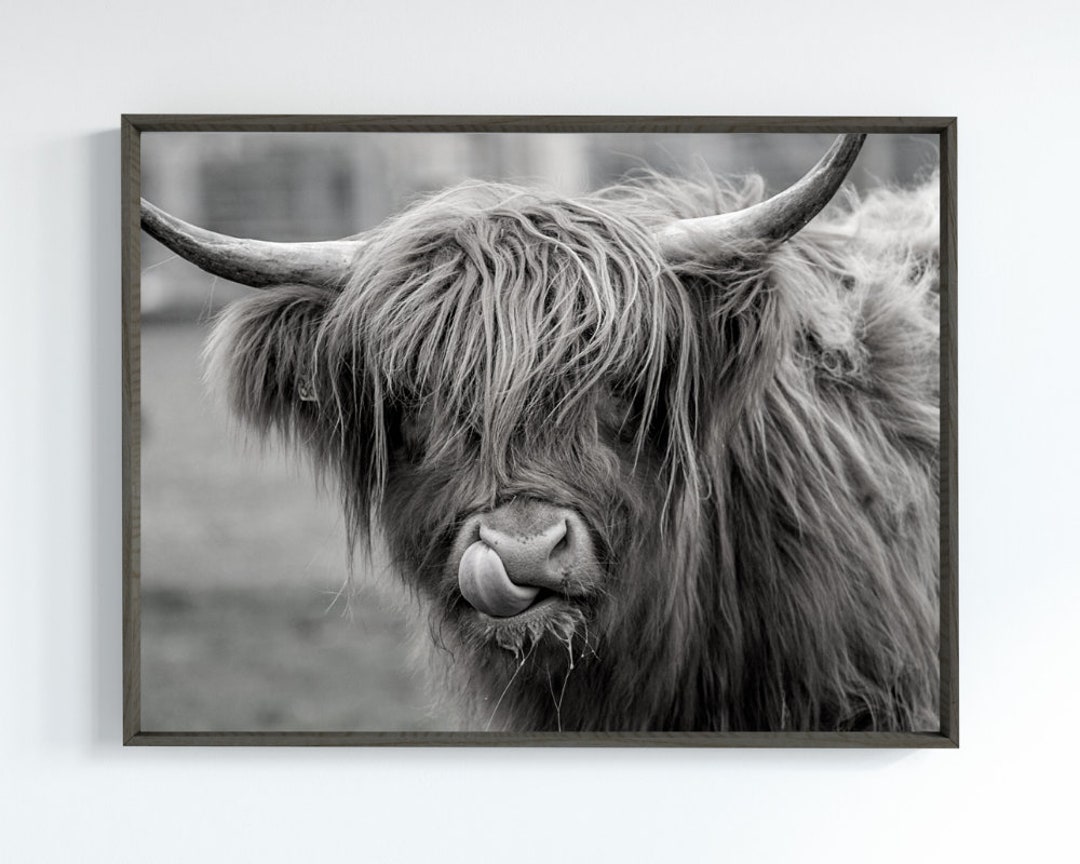 Highland Cow Wall Art | Digital | Wall Decor | Downloadable Print | Cow ...