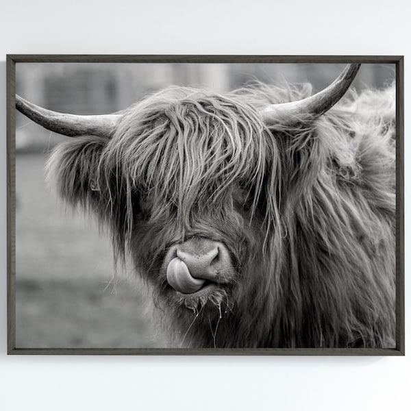 Highland Cow Wall Art - Etsy