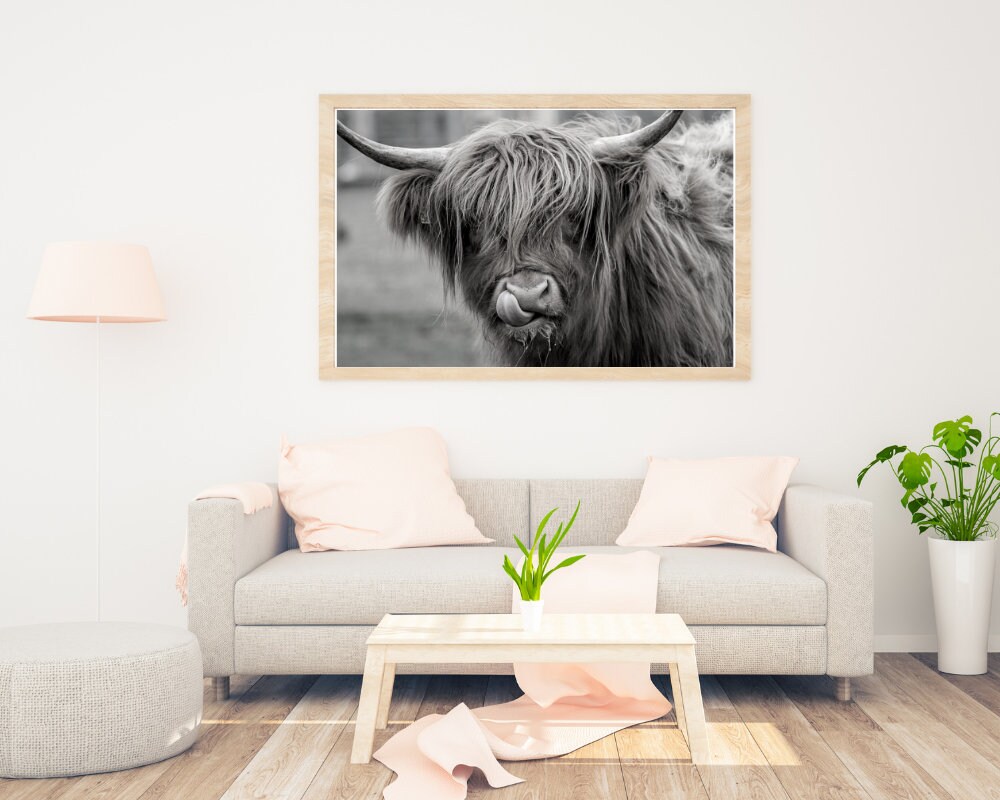 Highland Cow Wall Art Digital Wall Decor Downloadable - Etsy