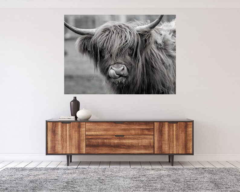 Highland Cow Wall Art Digital Wall Decor Downloadable - Etsy