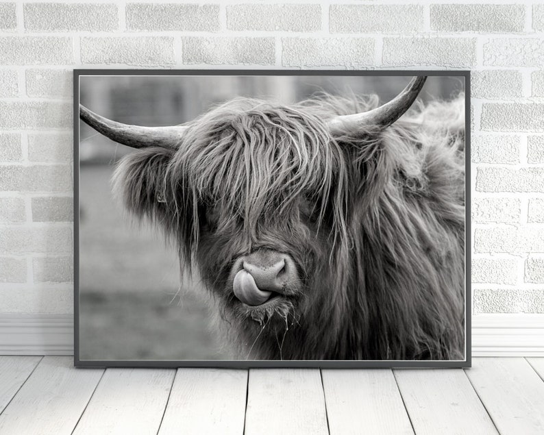 Highland Cow Wall Art Digital Wall Decor Downloadable - Etsy