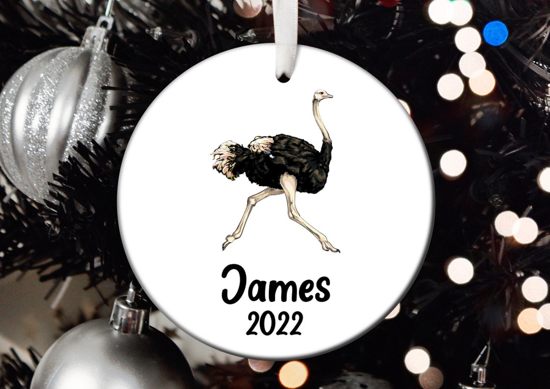 Personalized Ostrich Christmas Ornament, Ostrich Santa Ornament ...