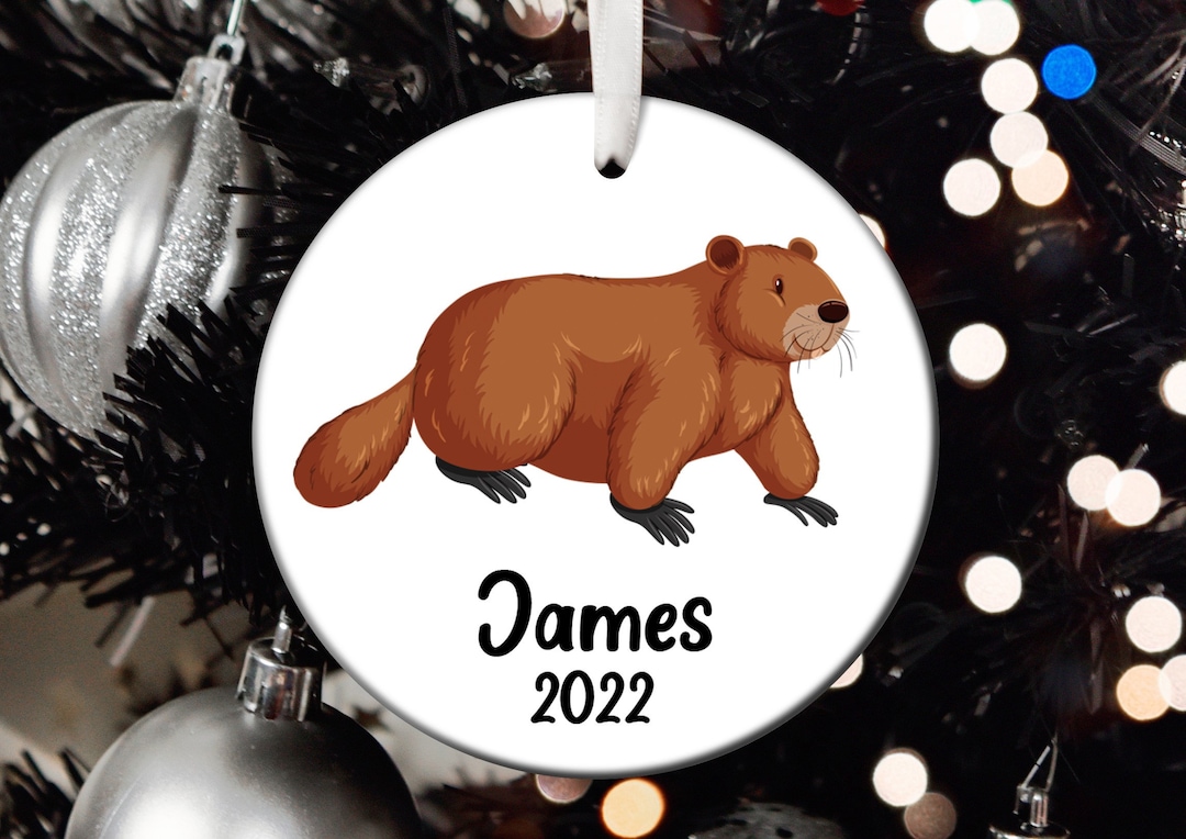 Personalized Beaver Christmas Ornament, Beaver Santa Ornament, Beaver ...