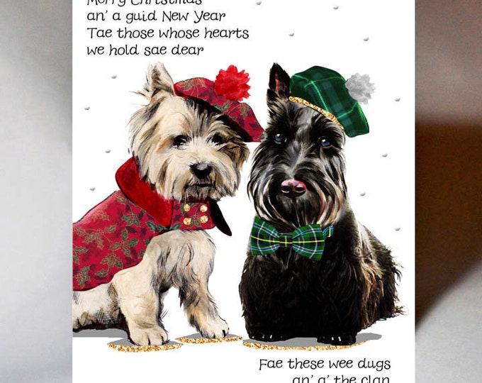 Christmas Cards, Highland Cows, Scottish, Scotland. UK, Multi Packs ...