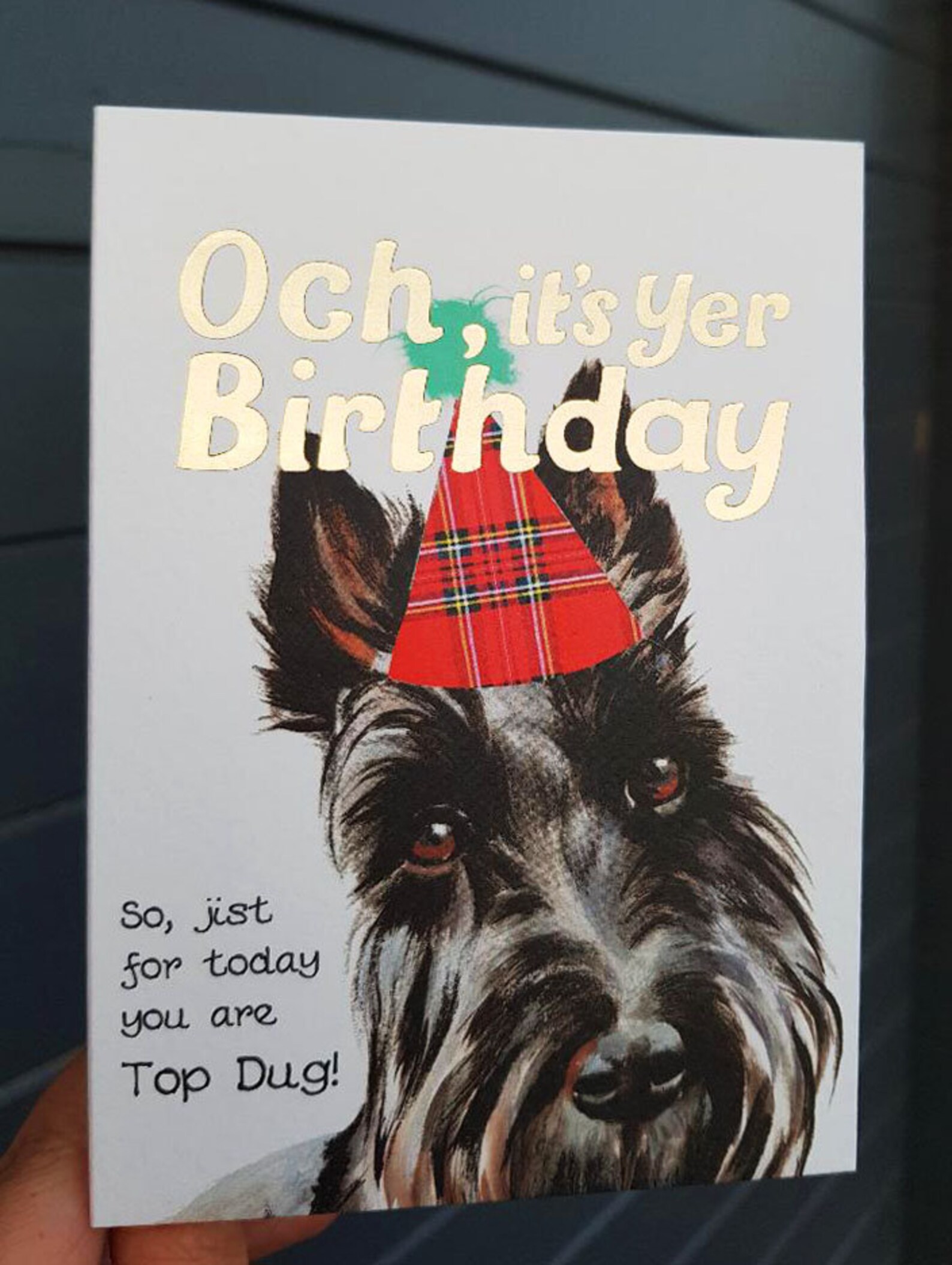 Birthday Scottie Top Dug Card WWBD187 - Etsy UK