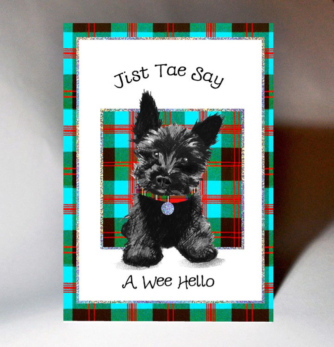 Greetings 'jist Tae Say, A Wee Hello' Card WWGR24 - Etsy