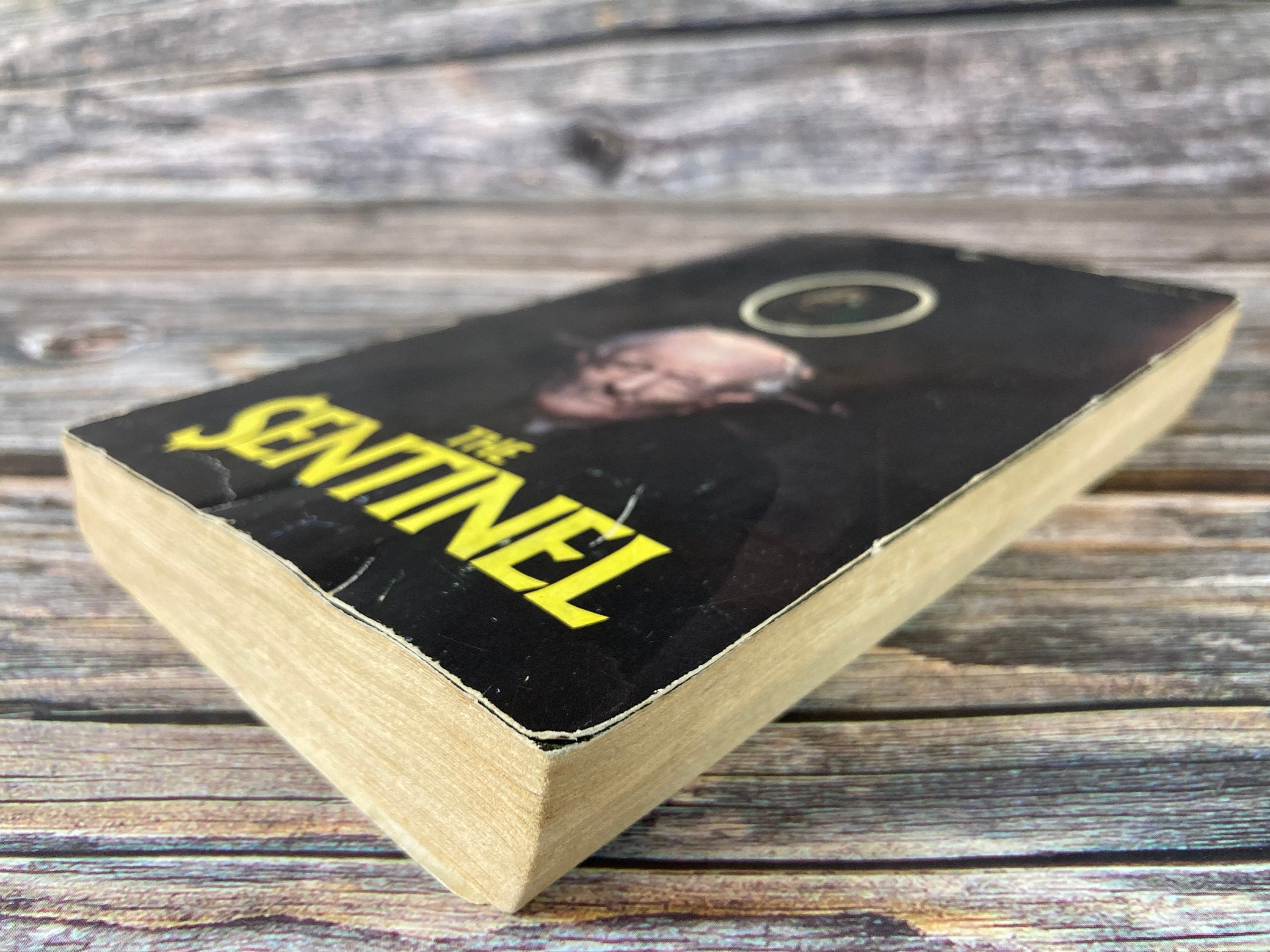 The Sentinel by Jeffrey Konvitz Horror Books Horror Movie Books ...