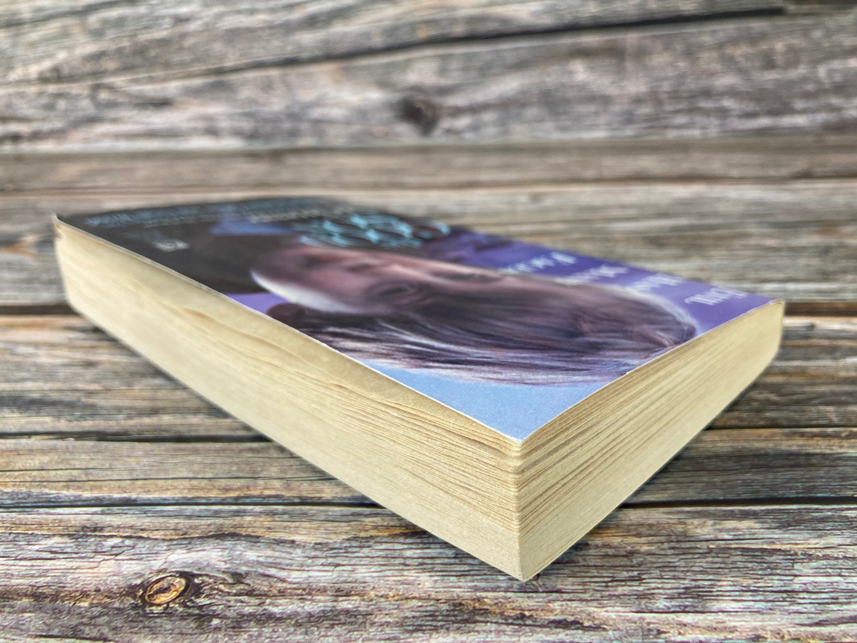 The Good Son by Todd Strasser Based off Screenplay by Ian Mcewan Pocket ...