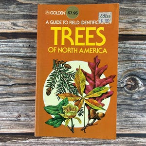 Trees of North America Golden Guide | Vintage Nature Guides | Golden ...