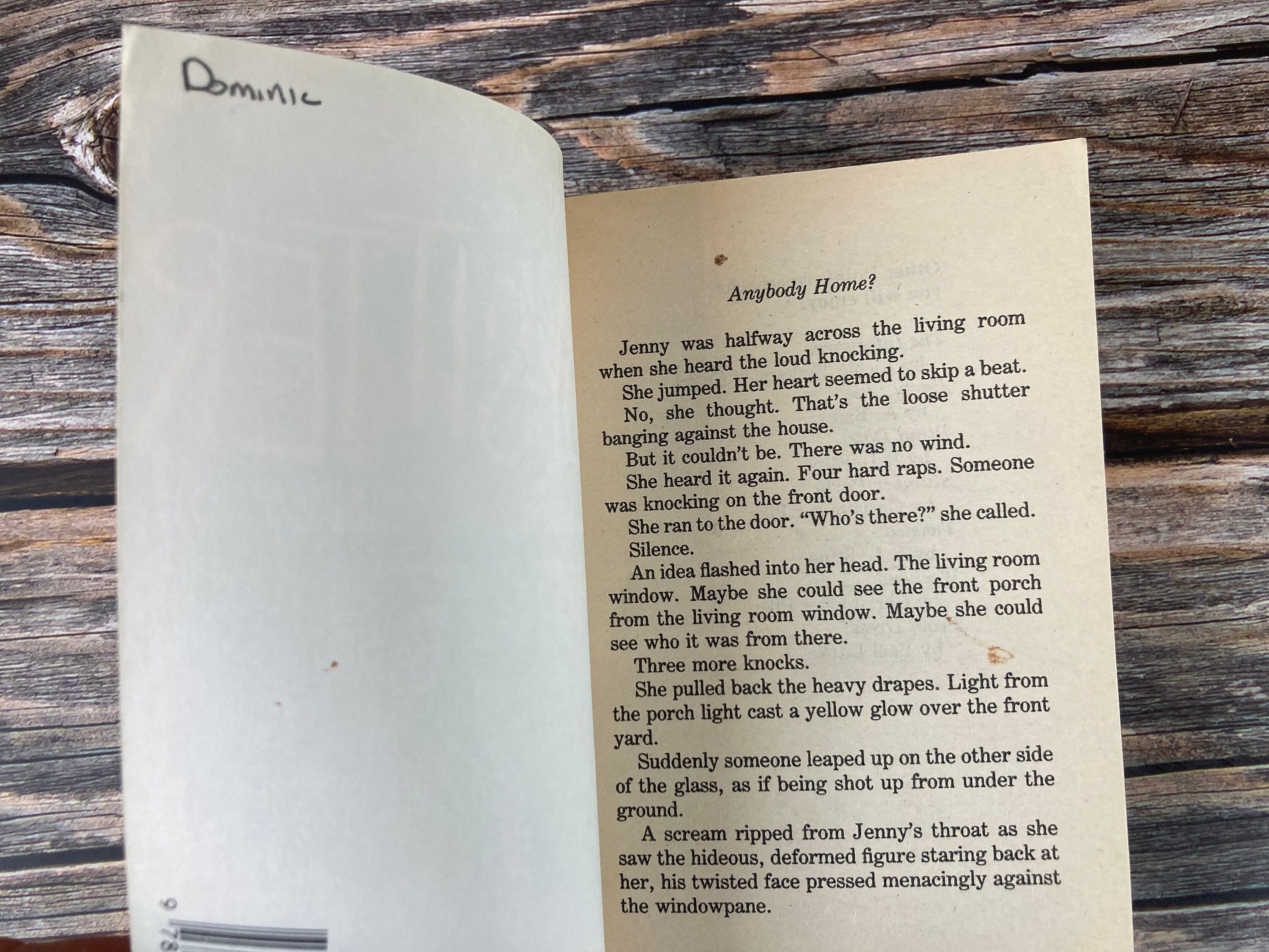 The Babysitter by R.L. Stine Point Books, Scholastic Paperback Horror ...