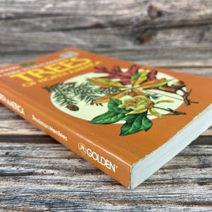 Trees of North America Golden Guide | Vintage Nature Guides | Golden ...