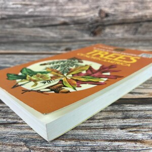 Trees of North America Golden Guide | Vintage Nature Guides | Golden ...