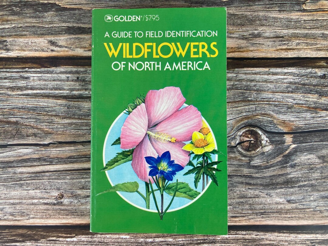 Wildflowers of North America Golden Guide | Vintage Nature Guides ...