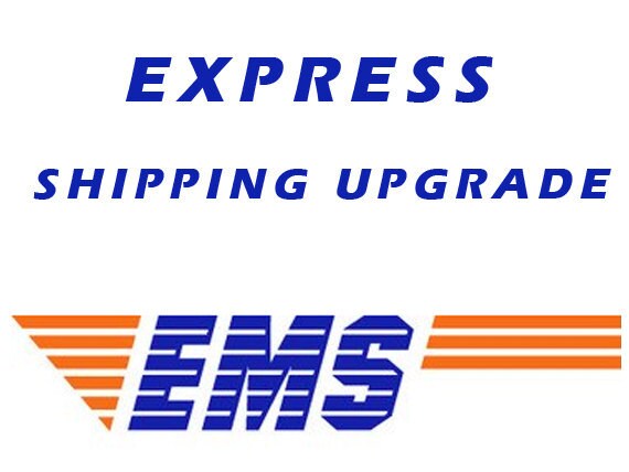 Shipping Upgrade EMS Only for EMS Delivery | Etsy