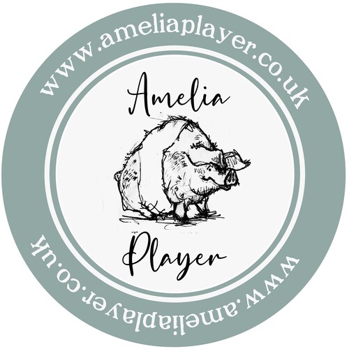 AmeliaPlayer - Etsy UK