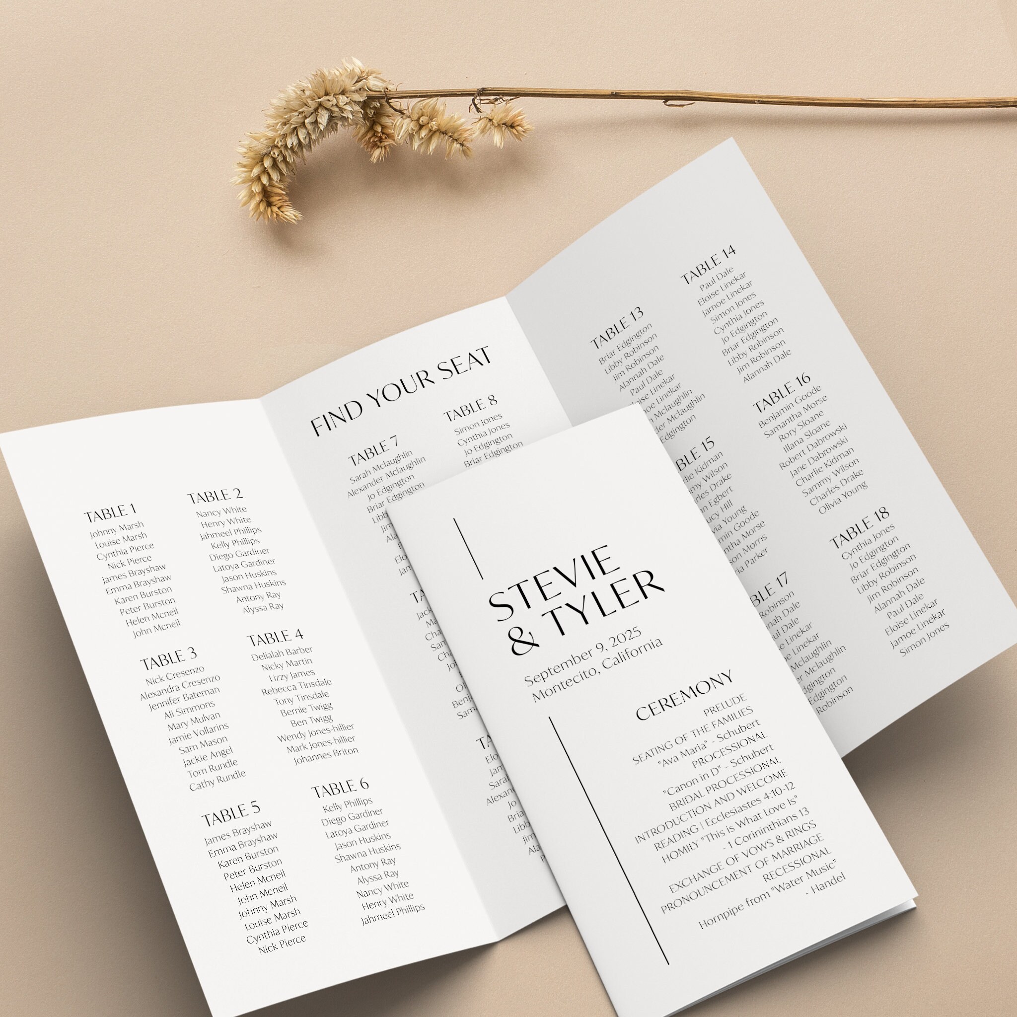 Tri Fold Program With Seating Chart, Wedding Infographic Timeline ...