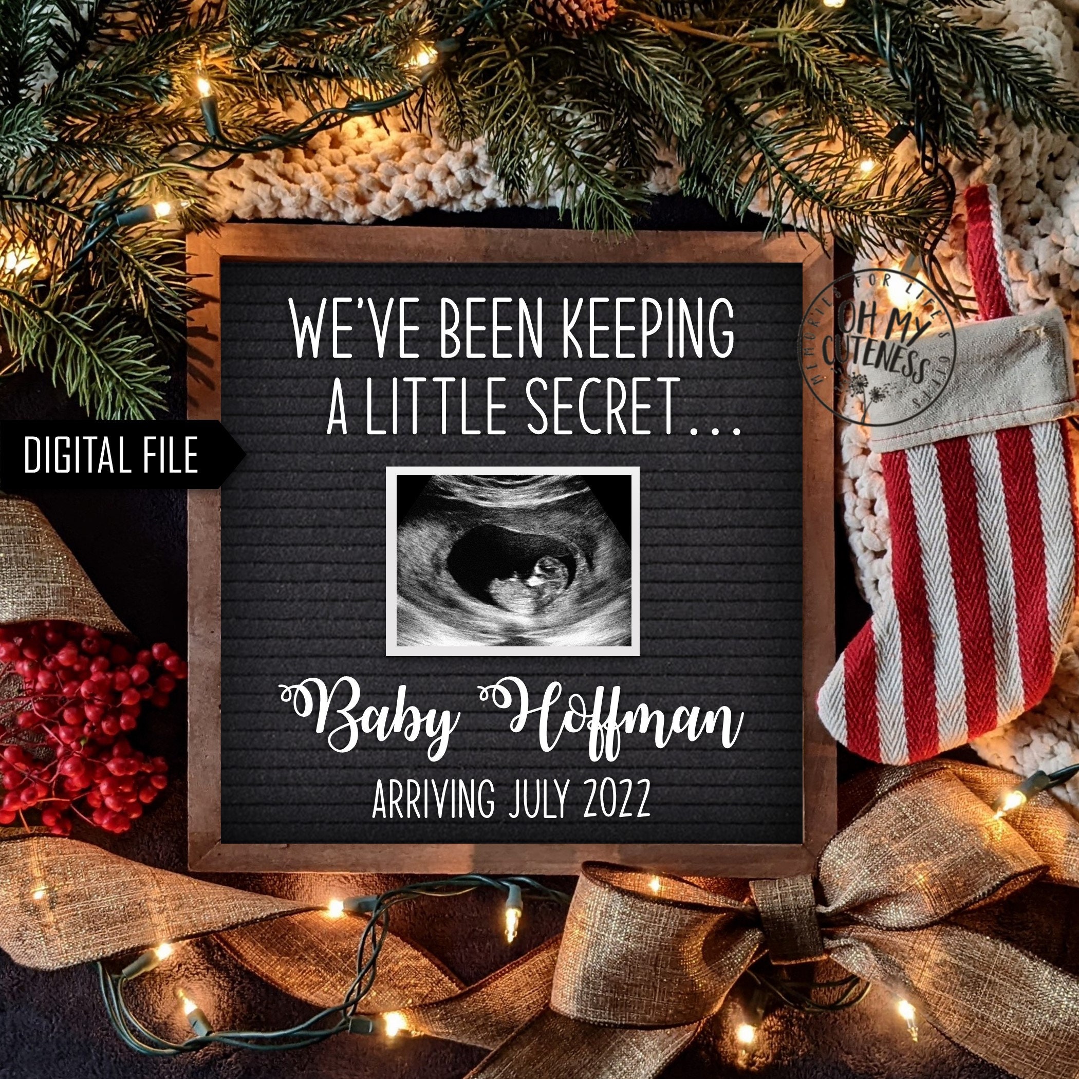 We've Been Keeping a Little Secret Digital Pregnancy - Etsy