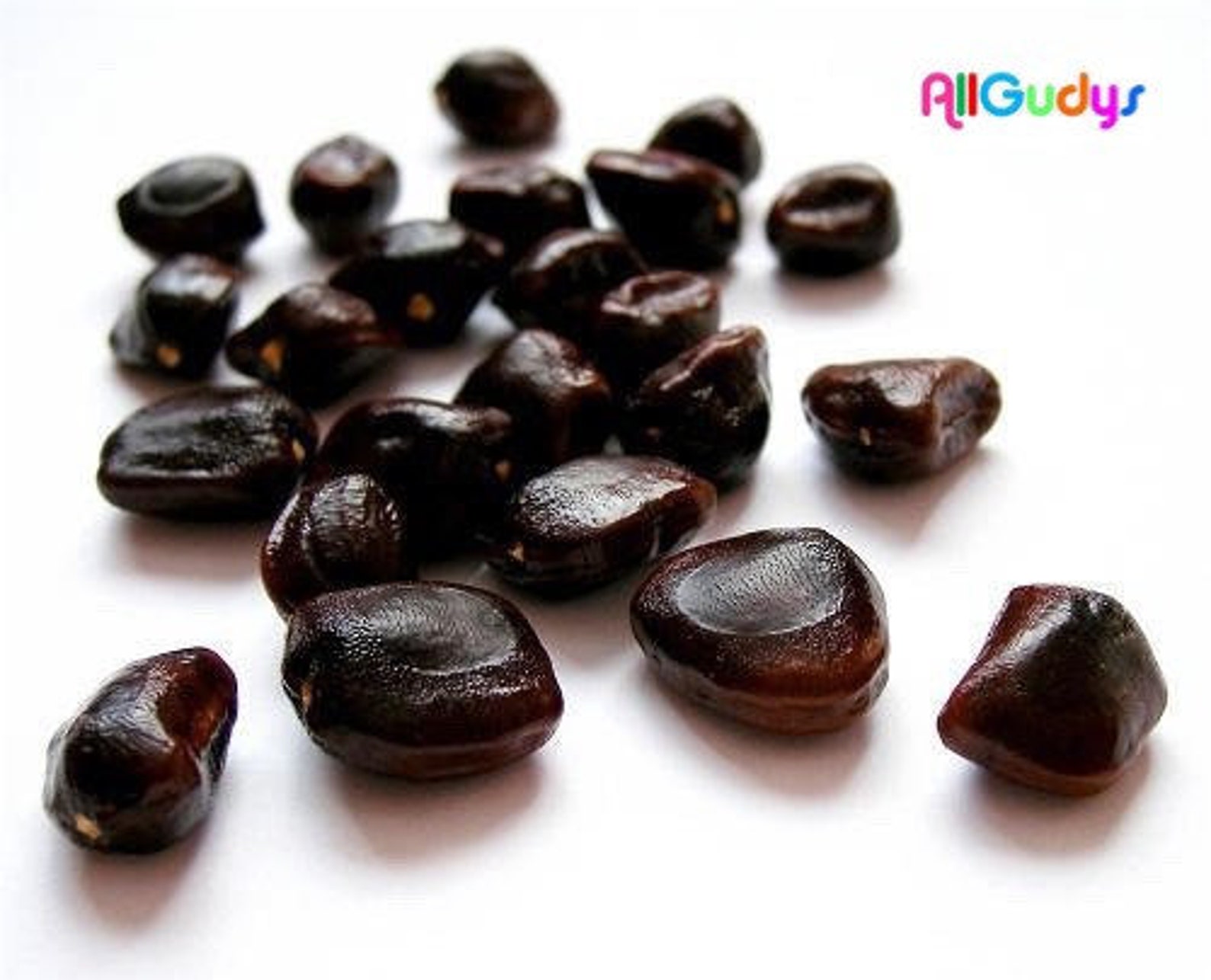 Sweet Tamarind Seeds Fresh Non GMO Tamarindo Imli US Seller - Etsy