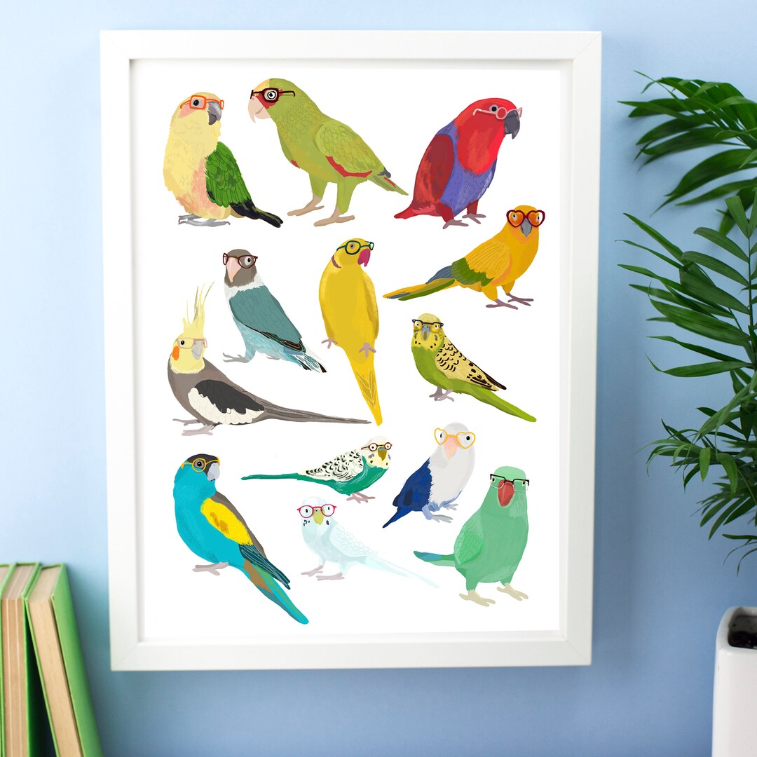 Parrots With Glasses - Etsy