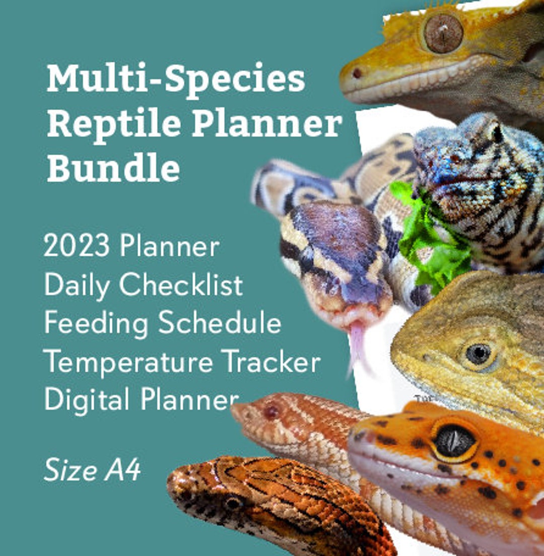 Reptile Planner Bundle, Digital Download for Organisation, Supplement ...