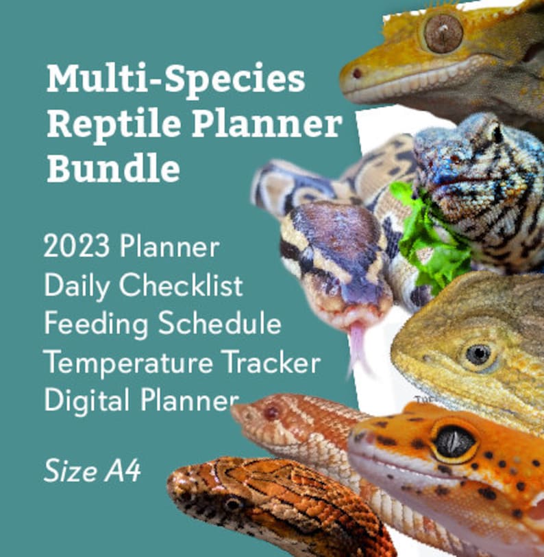 Reptile Planner Bundle, Digital Download for Organisation, Supplement ...