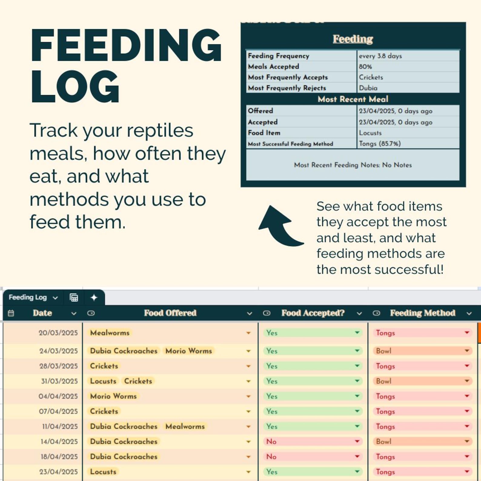 Reptile Care + Health Spreadsheet | 10-in-1 Tracker for Gecko & Exotic ...