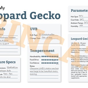 Leopard Gecko Reptile Planner, Digital Download for Organisation ...