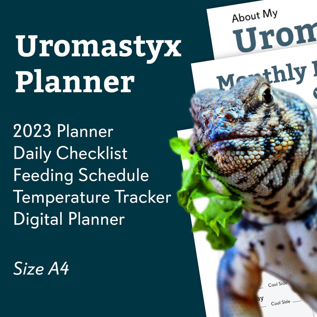 Uromastyx Spiny Tailed Lizard Reptile Planner, Digital Download for ...