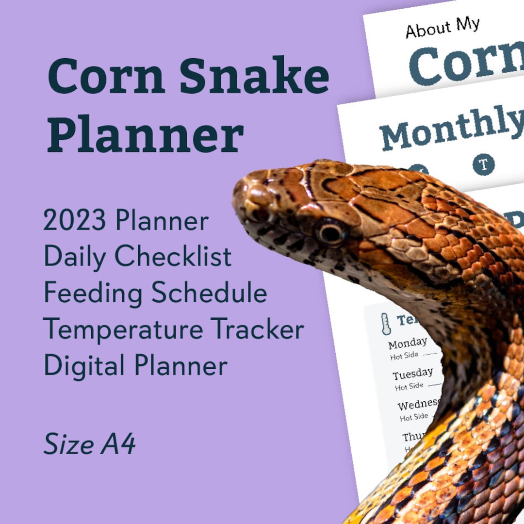 Corn Snake Reptile Planner, Digital Download for Organisation ...