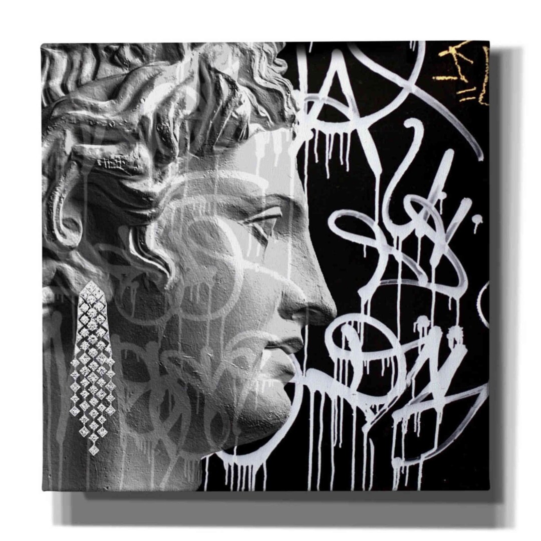 Graffiti Bust 2 by Karen Smith Canvas Wall Art - Etsy
