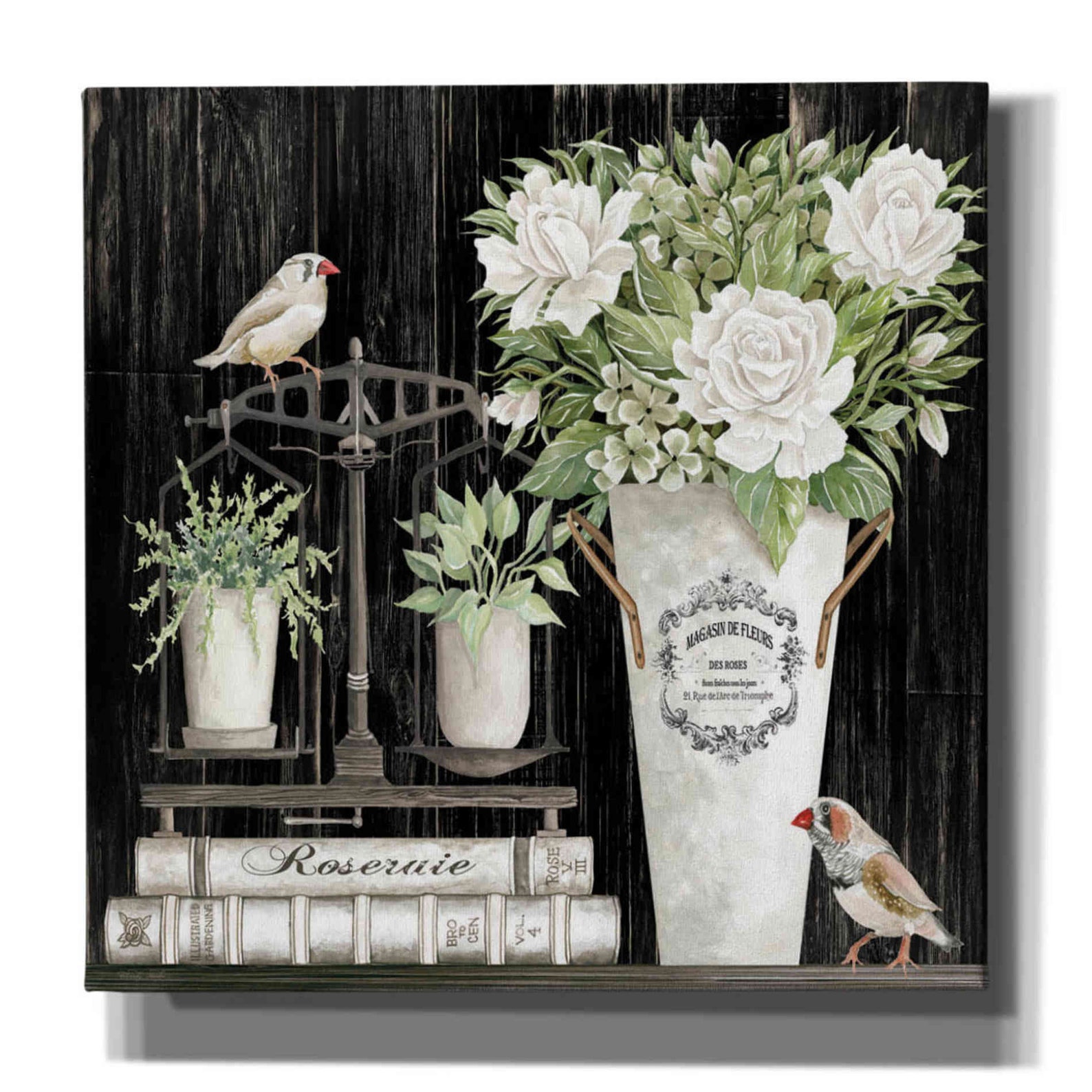 Roses and Scales by Cindy Jacobs Canvas Wall Art - Etsy
